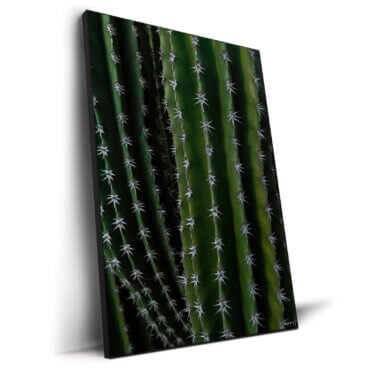 Nick Ford Wall Art - BIG Wall Décor