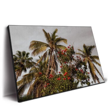 Nick Ford Wall Art - BIG Wall Décor