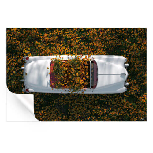 Vintage Cadillac and Flowers Wall Art | BIG Wall Décor