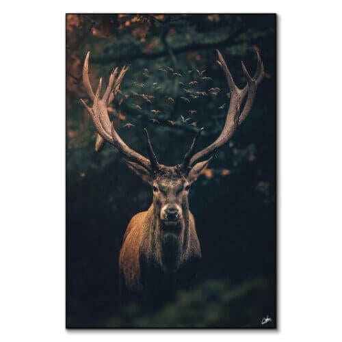 Majestic Deer Wall Art | BIG Wall Décor