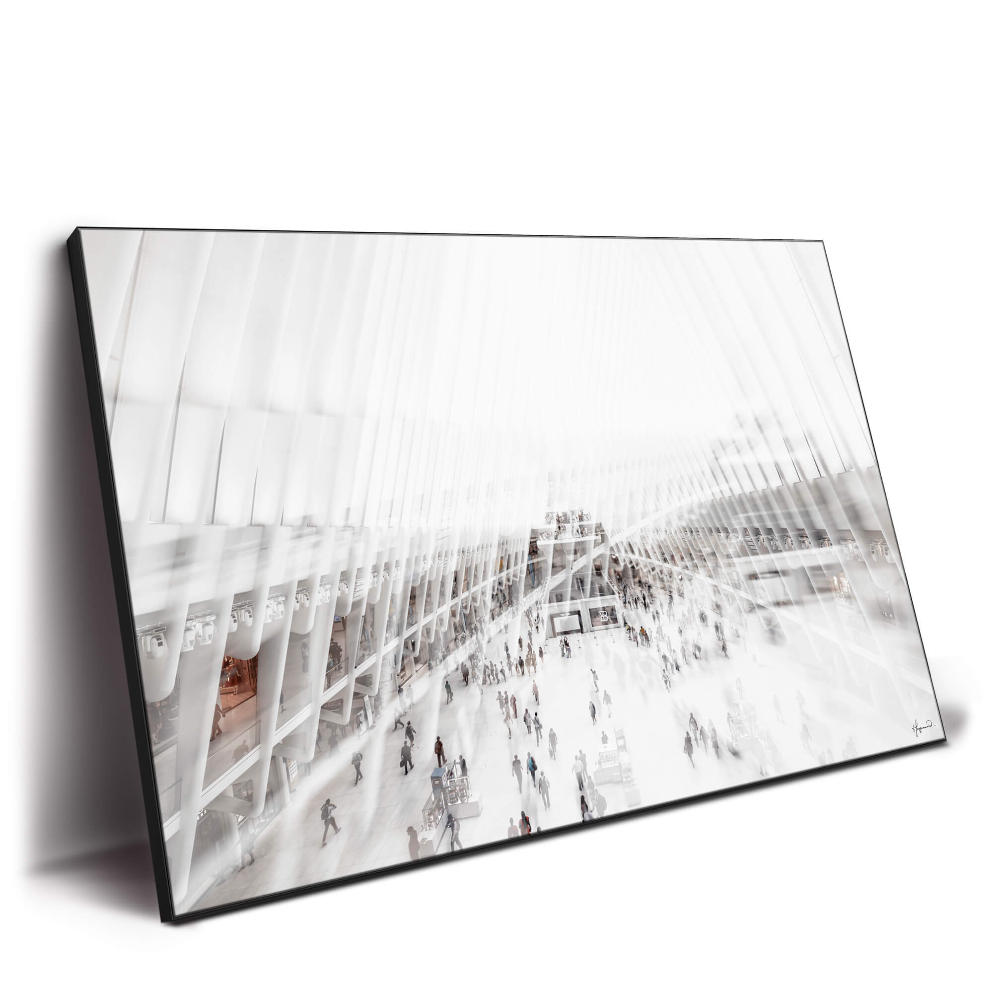 Oculus Architecture Drawing