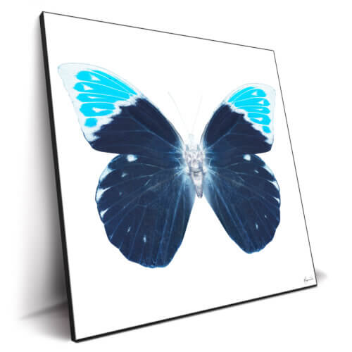 Blue Inverted Butterfly Wall Art | BIG Wall Décor