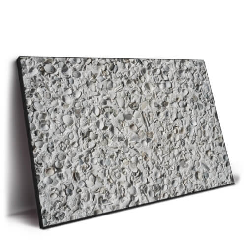 White Shell Wall Photography | BIG Wall Décor