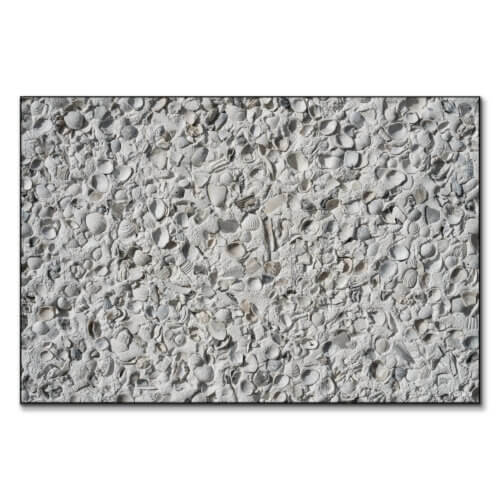 White Shell Wall Photography | BIG Wall Décor
