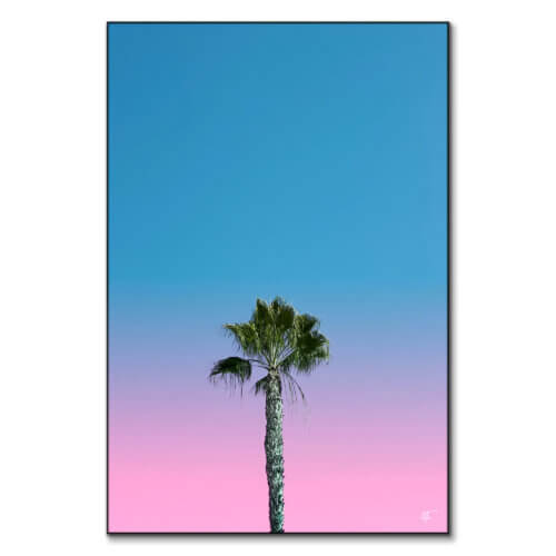 Blue and Pink Palm Tree Wall Art | BIG Wall Décor