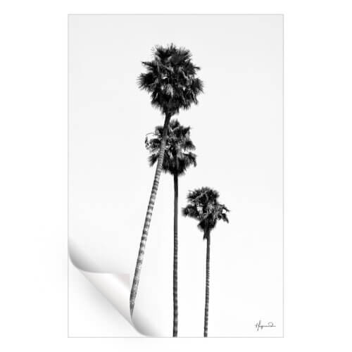 Black and White Palm Tree Wall Art | BIG Wall Décor