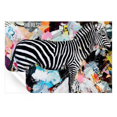 Zebra Street Art Collage | BIG Wall Décor