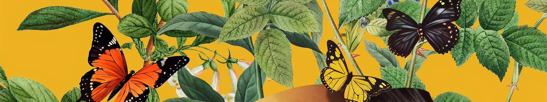 Large Butterfly Wall Art for Natural Charm — BIG Wall Décor