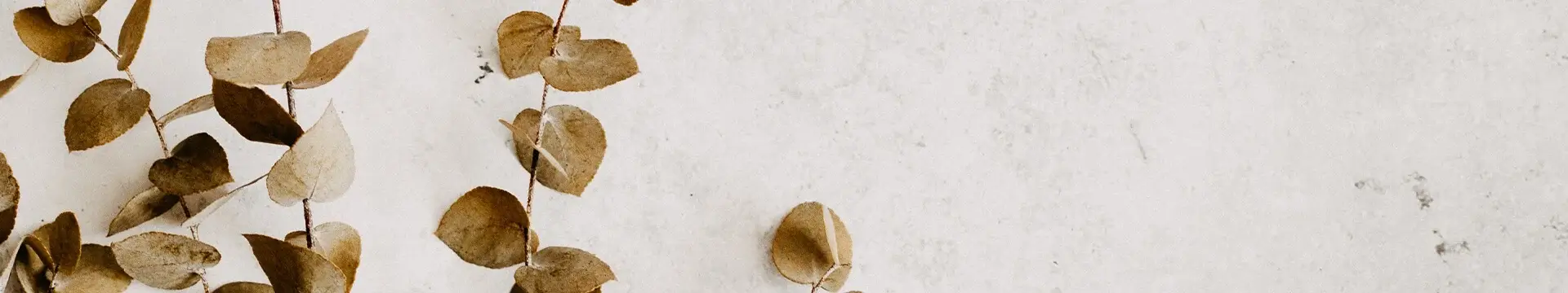 Beautiful Neutral Wall Art Prints — Shop at BIG Wall Décor