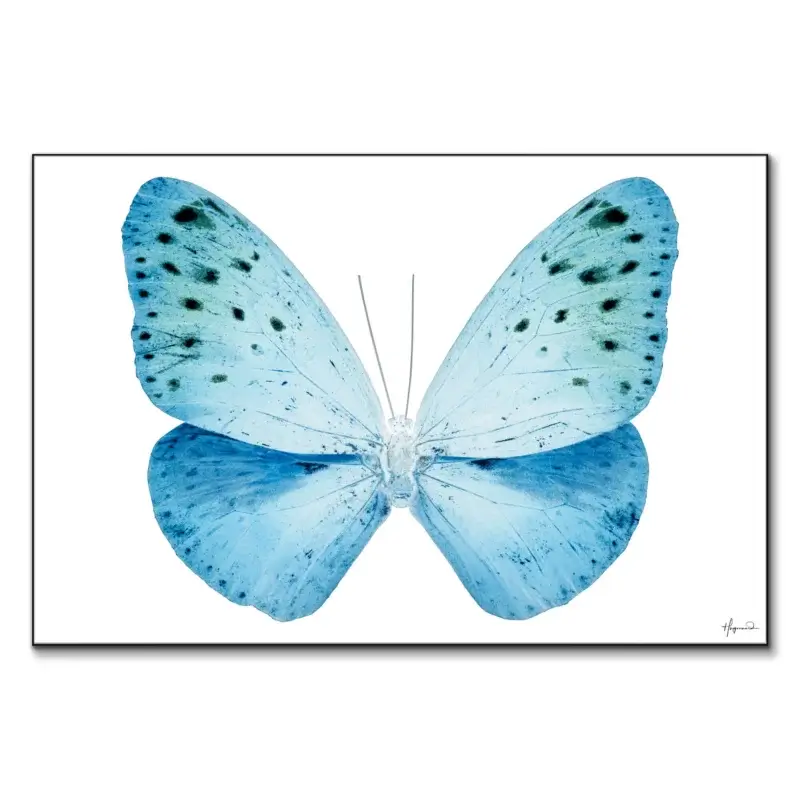 Large Butterfly Wall Art for Natural Charm — BIG Wall Décor