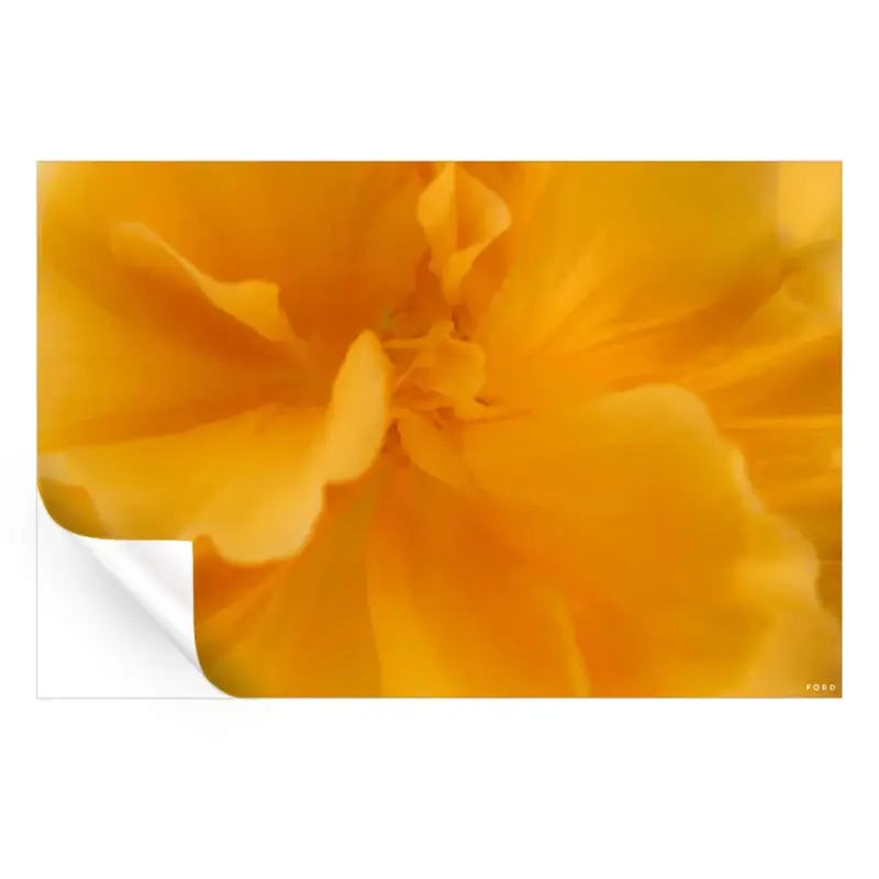 Nick Ford Wall Art - BIG Wall Décor