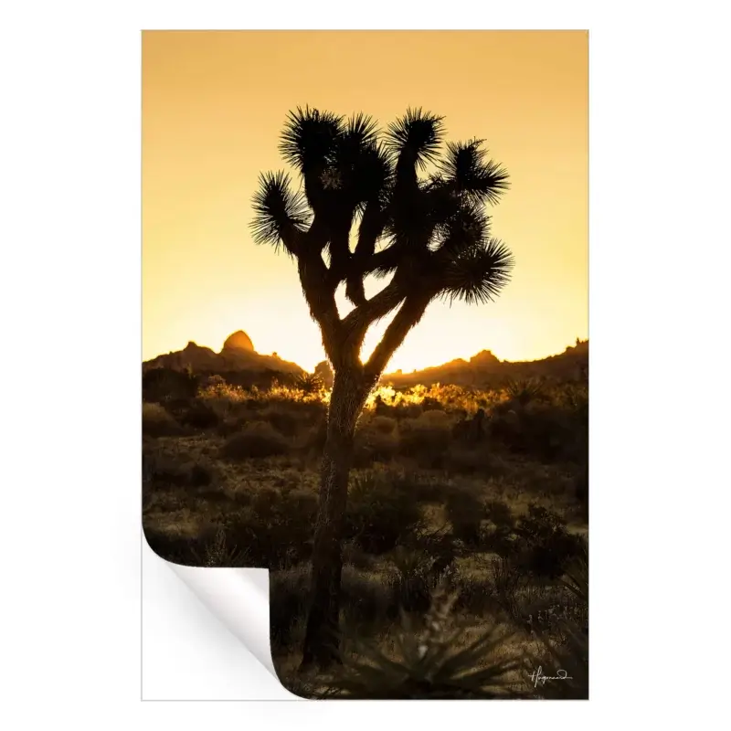 Shop Oversized Wall Art - BIG Wall Décor